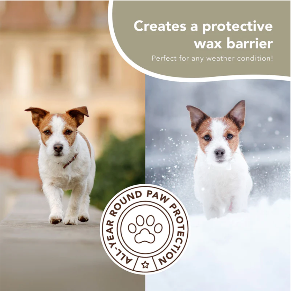 Barra Paw Tection 2 Onzas Bálsamo protector de huellitas (empaque biod ...